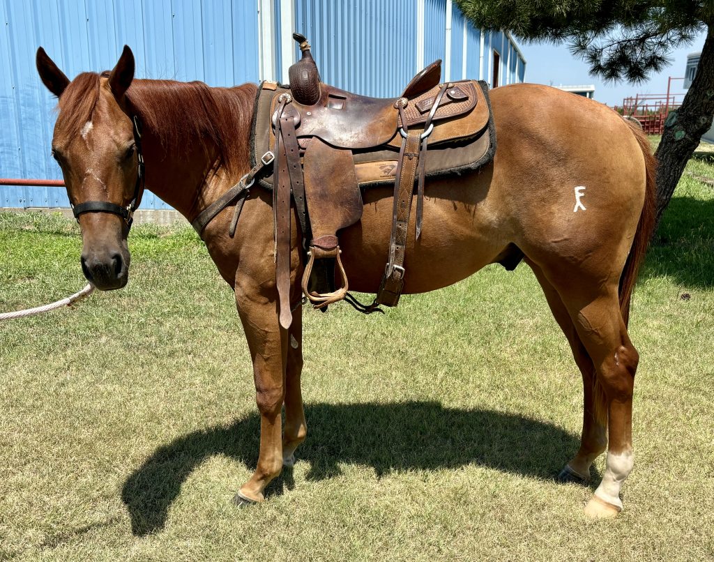 Penning / Sorting – 2M Sales